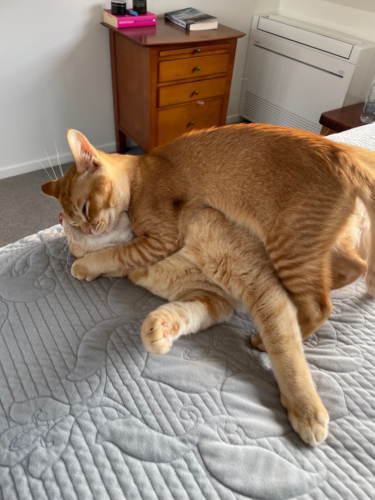 Steve & Michele - McMaster & Heap