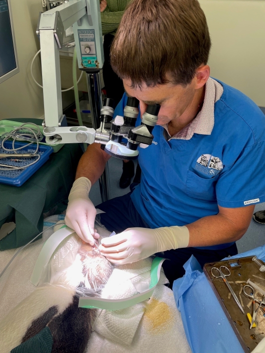 Steve & Michele - McMaster & Heap