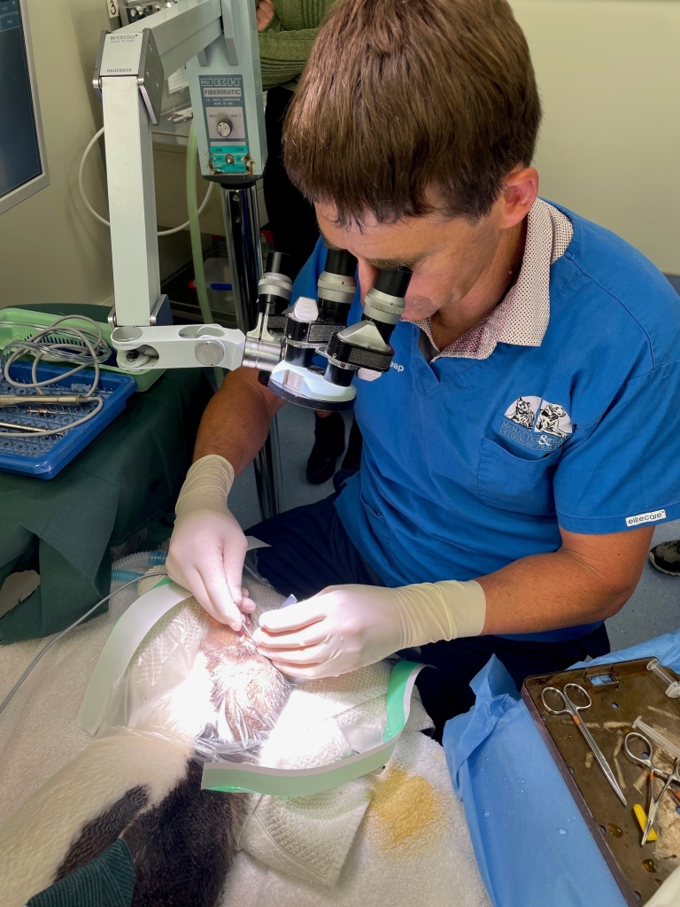 Steve & Michele - McMaster & Heap